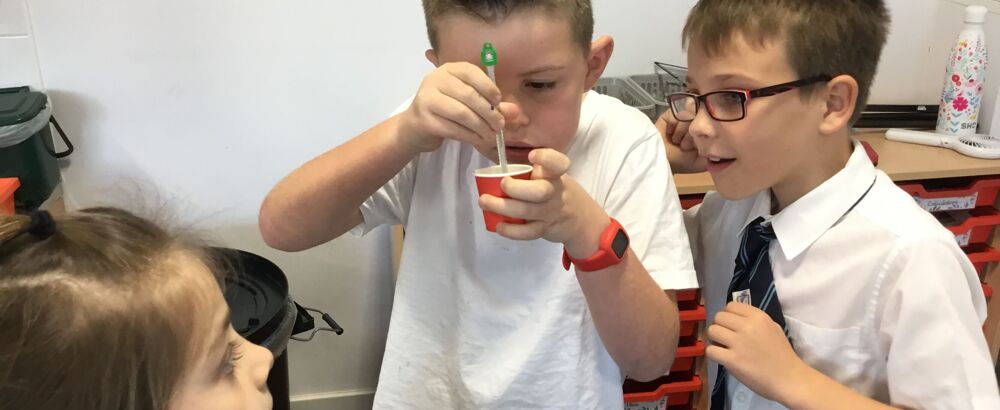 Year 4 Blog - Jupiter Primary School